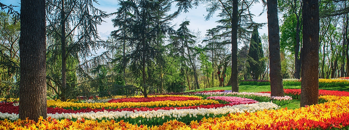 Türkiye Bahar Festivalleri | Türk Hava Yolları Blog